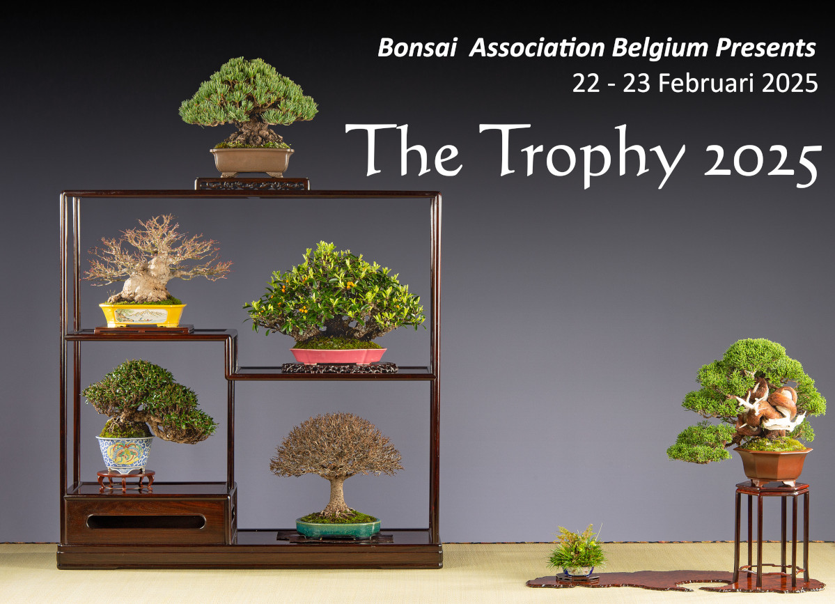 The Trophy 2025 - 22/23 February 2025 - Genk Belgium | Bonsai Nut